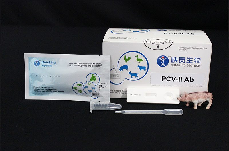 PCV-II Ab Rapid Test（W81025）