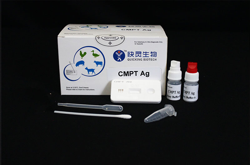 AIV H5 Ag Rapid Test ( W81089 )