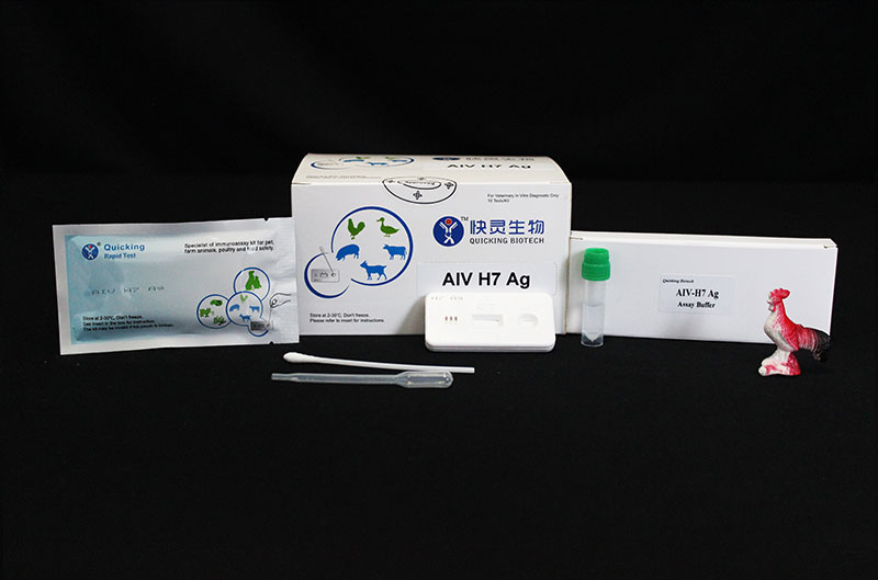 AIV H7 Ag Rapid Test ( W81148 )